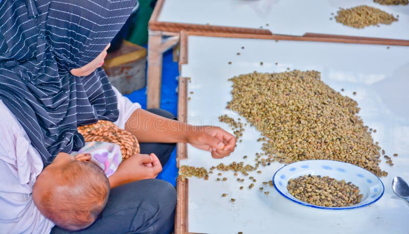 View of Workers Sorting Coffee Beans Editorial Image - Image of arabica ...