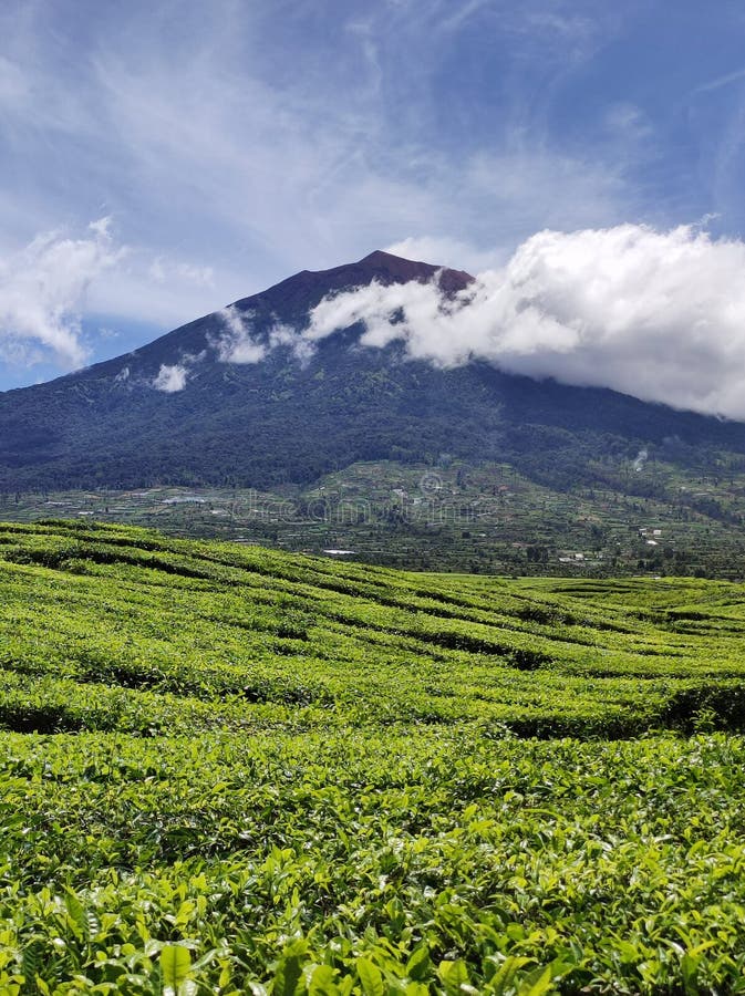 Kerinci Mountain stock photo. Image of jambi, provinsi - 261926848