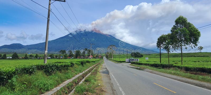 Kerinci Volcano and Tea Plantation Stock Photo - Image of mountain ...