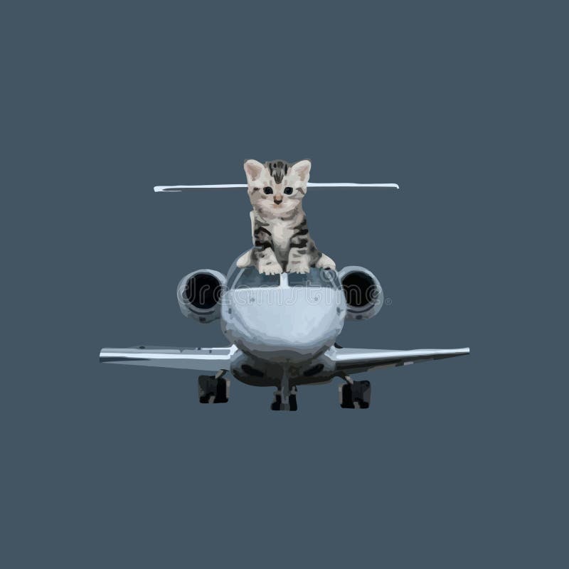 Cat on an airplane stock illustration. Illustration of plane - 272441289
