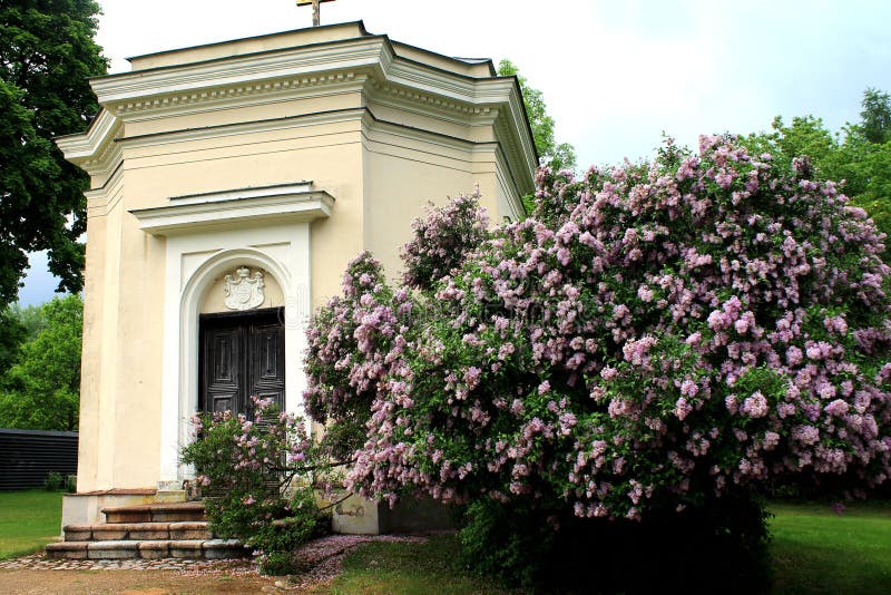 Kernave Castle Lilly Blooming Stock Photo - Image of bloom, castle ...