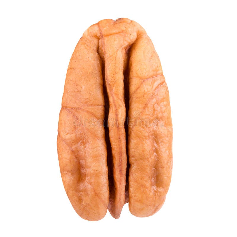 Pecan Nut Kernel Isolated on White Background Stock Image - Image of ...