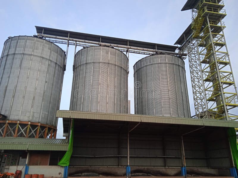 Kernel Foundplant Stock Photos - Free & Royalty-Free Stock Photos from ...