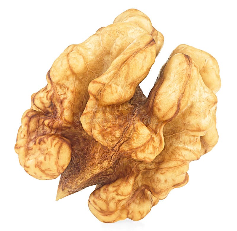 Kernel Walnut Isolated on White Background. Peeled Walnut. Walnut Seed ...