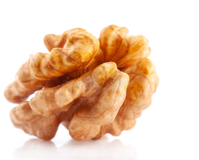 Kernel Walnut Isolated on the White Stock Image - Image of nutty ...