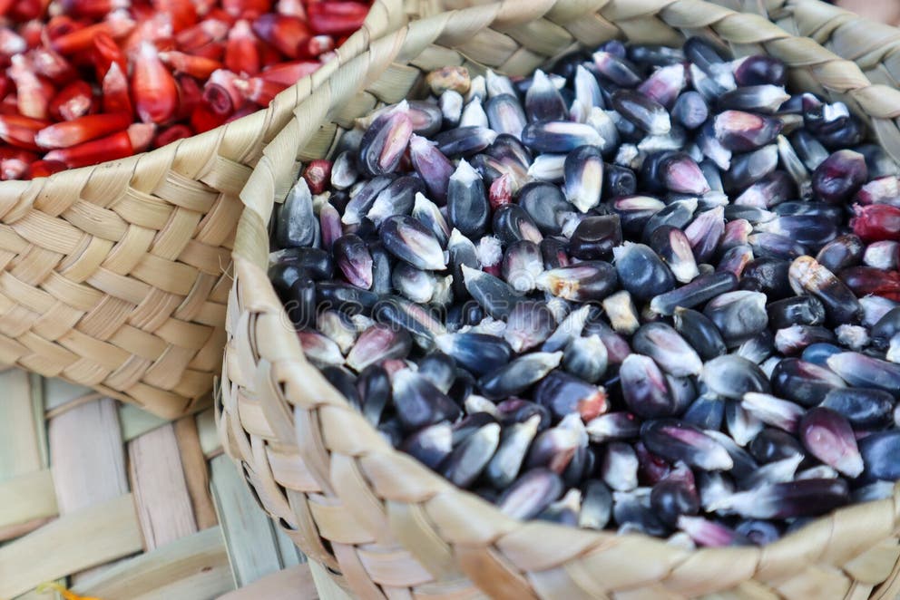Kernels of Blue Corn and Red Corn at a Market Stock Photo - Image of ...