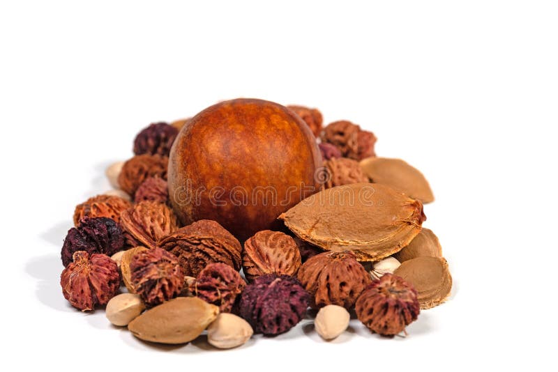 Kernels of Different Types of Stone Fruits Stock Photo - Image of white ...