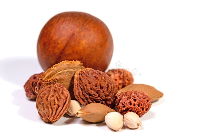 Kernels of Different Types of Stone Fruits Stock Photo - Image of ...