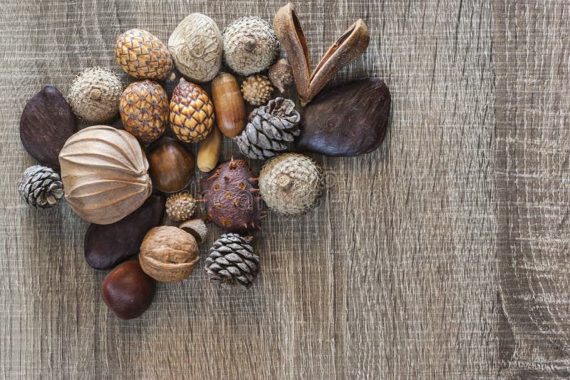 Kernels and seeds stock photo. Image of plant, healthy - 66886900