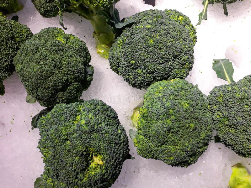 Broccoli stock photo. Image of vegetable, ingredient - 106568458