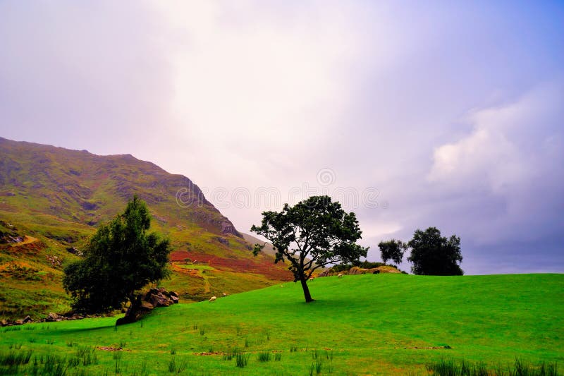Kerry Landscape stock image. Image of countryside, tourism - 6401007