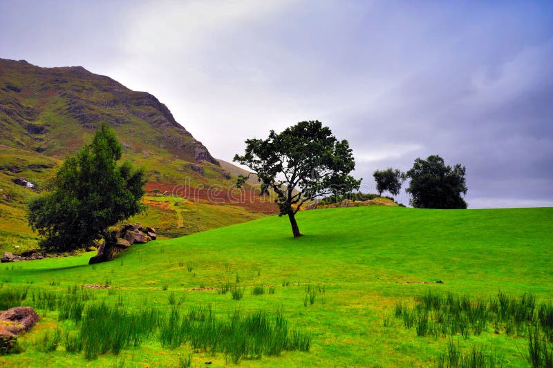 Kerry Landscape stock image. Image of meadow, environment - 6401093