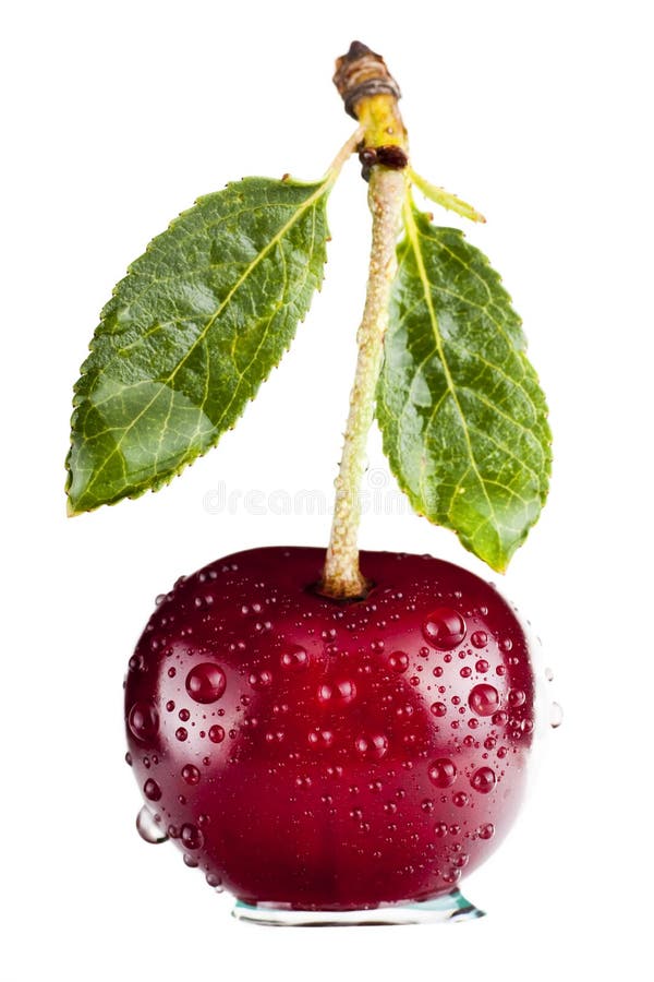 Een Hele Kersen En Een Halve Vrucht Met Een Witte Pit Stock Afbeelding ...
