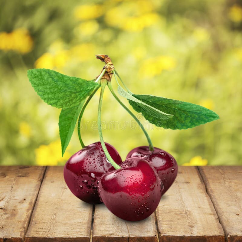 Kers stock foto. Image of kers, voedsel, vrucht, rood - 115260442