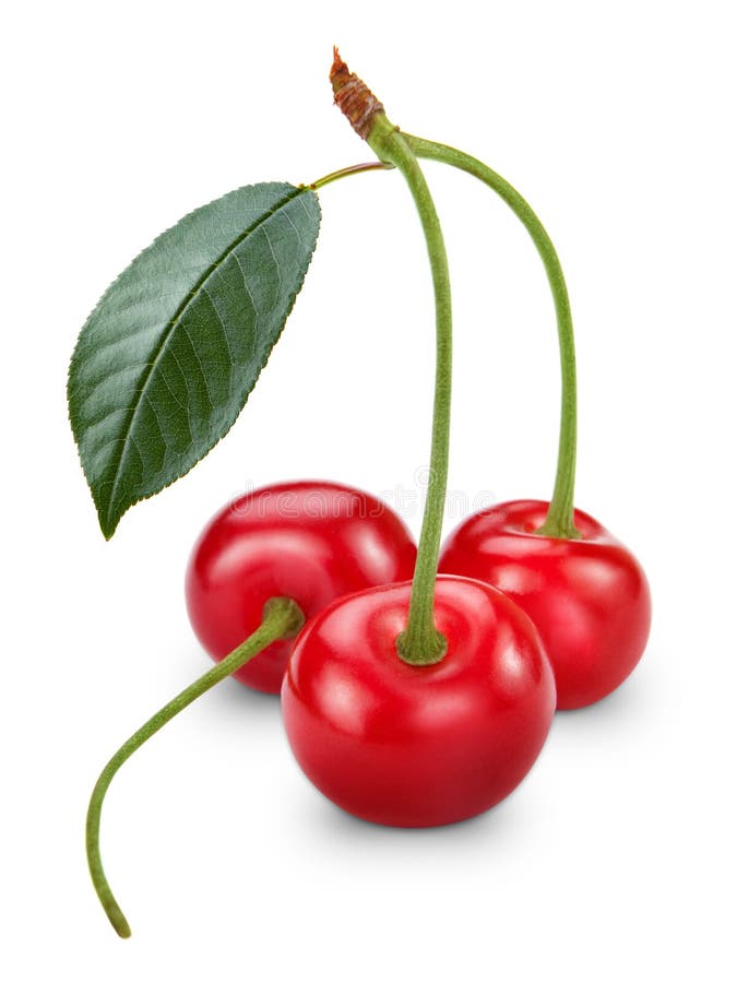Kersenbessen Op Een Tak Met Groene Bladeren Op Witte Achtergrond Stock ...