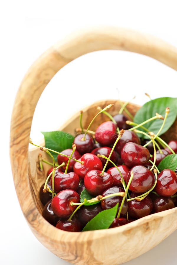 Kers stock afbeelding. Image of kers, groen, vrucht, olijf - 30932923