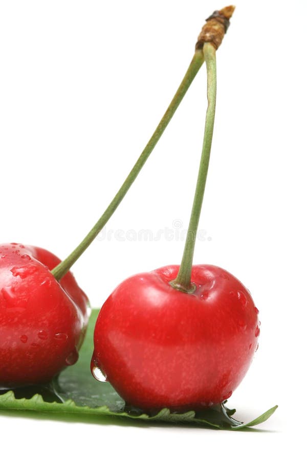 Verse Kersen in Room of Yoghurt Stock Afbeelding - Image of eten ...