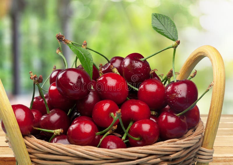 Kers stock foto. Image of hout, geïsoleerd, blad, versheid - 60003018