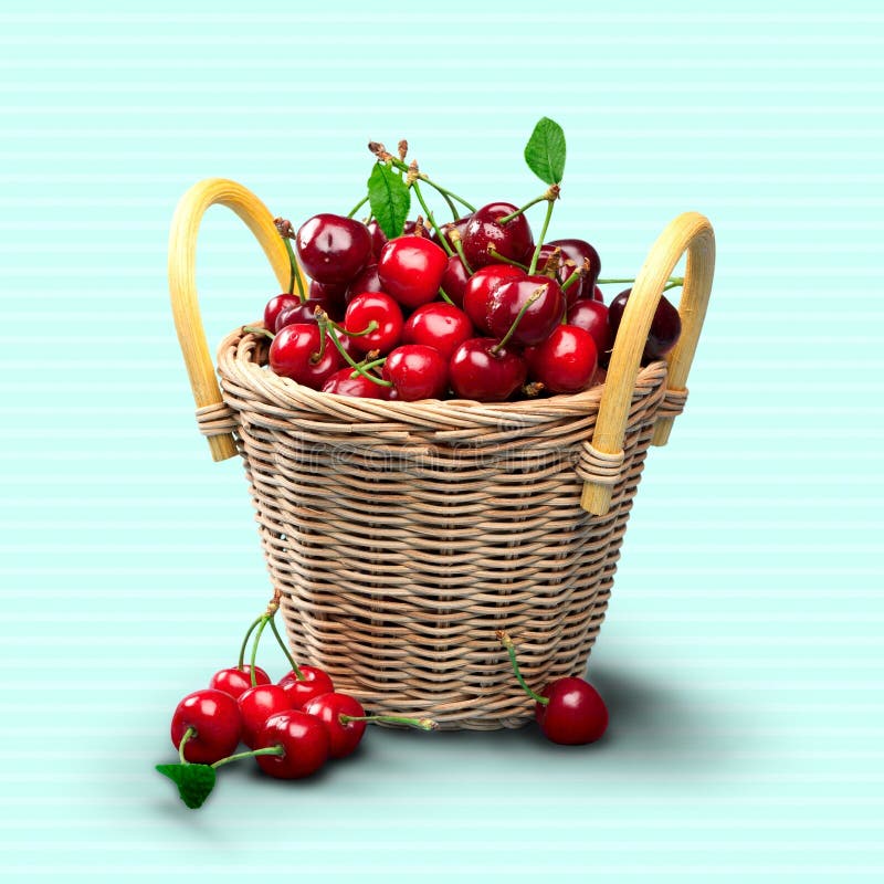 Kers stock foto. Image of rood, mand, vrucht, hout, kers - 63206018