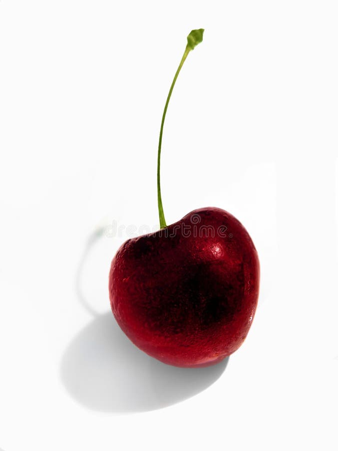 Exotisch fruit stock foto. Image of versheid, cultuur - 9121074