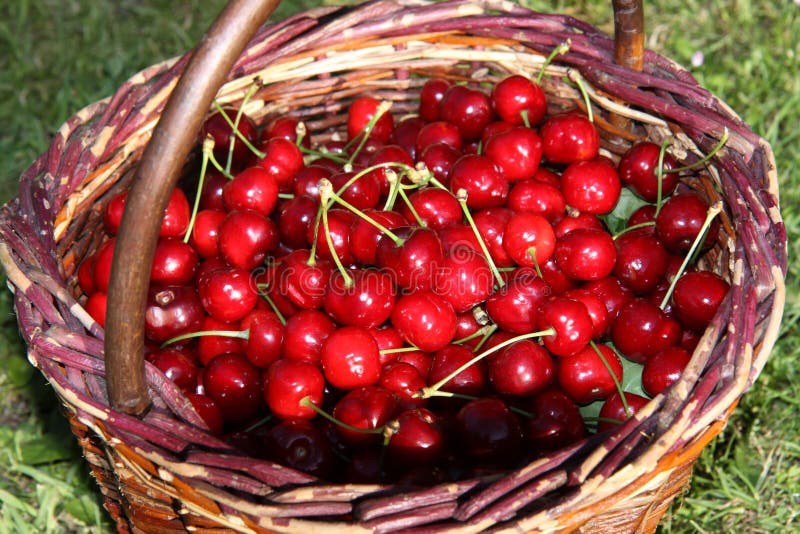 Kers stock foto. Image of sluit, heerlijk, voedsel, gezond - 9739420