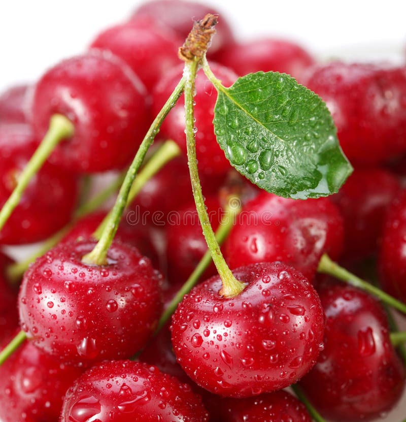 Kersen stock afbeelding. Image of kers, groep, vrucht - 11495255