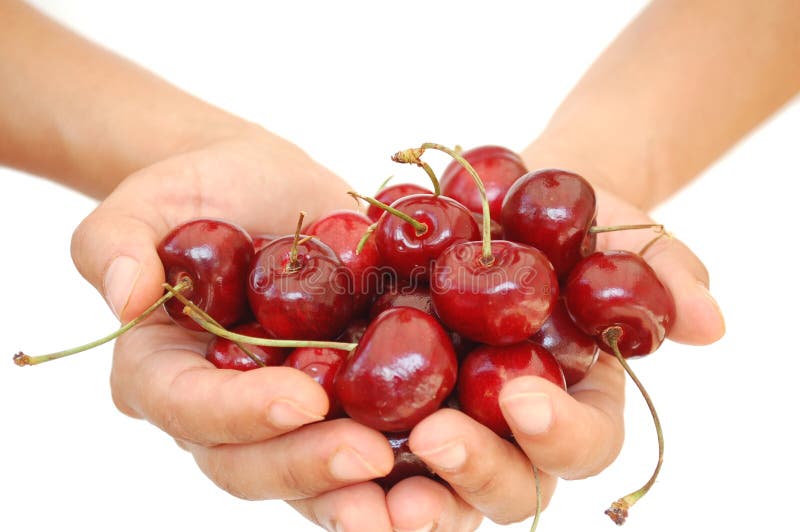 Kersen stock afbeelding. Image of vers, sluit, kers, rijp - 14422959