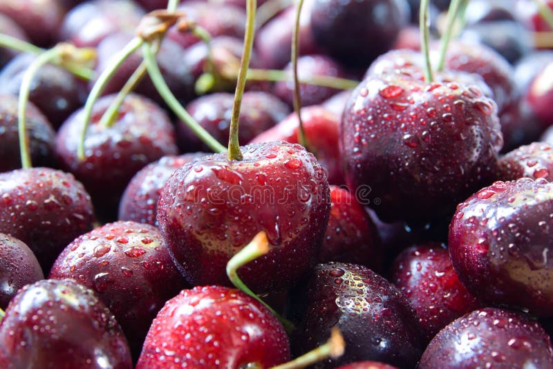 Zoete Kersenbessen Op Een Tak, Close-up Stock Foto - Image of keuken ...