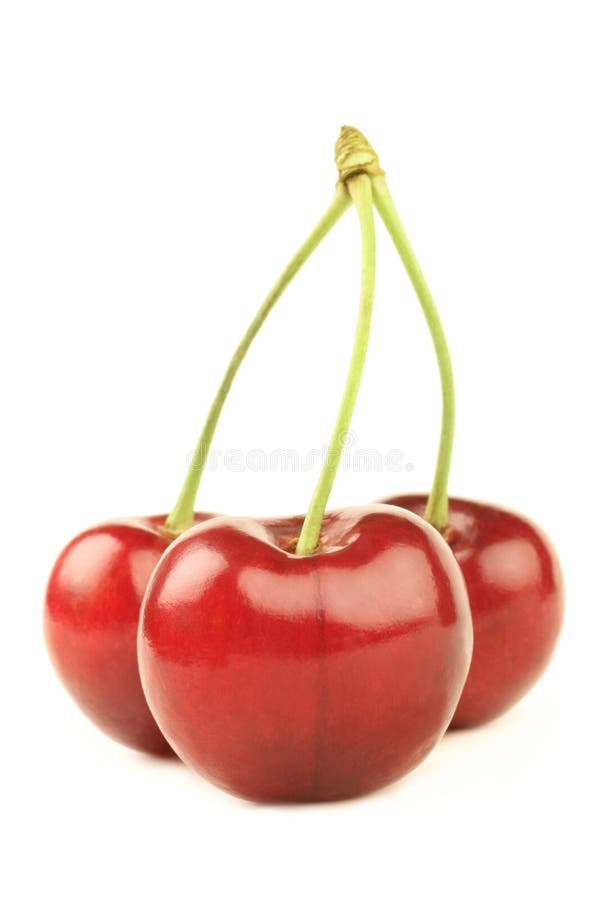 Witte Kersen stock afbeelding. Image of nave, vruchten - 20557879