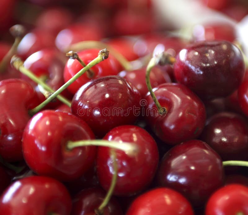 Kersen stock foto. Image of suiker, dieet, zaad, voedzaam - 17834202