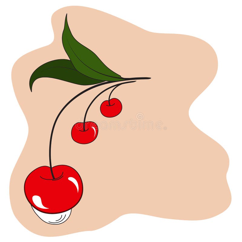 Kersen vector illustratie. Illustration of geïsoleerd - 26225029