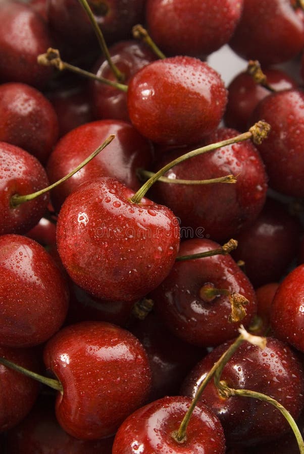 Morellen stock foto. Image of kersen, rood, kers, vrucht - 56332286