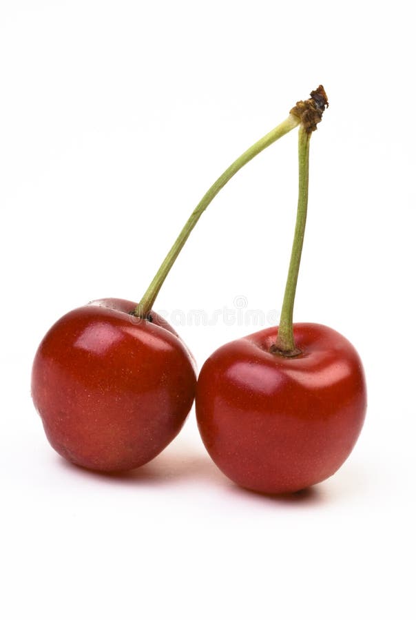 Kersen stock foto. Image of vers, rood, kers, vrucht, stam - 5497464