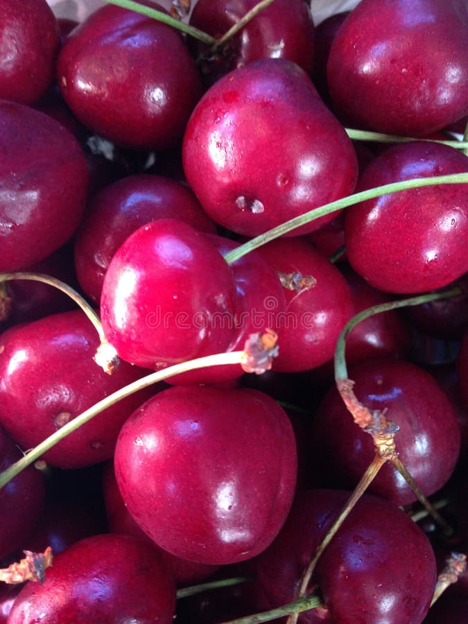Kersen stock foto. Image of eilanden, nantes, beperkt - 85025508