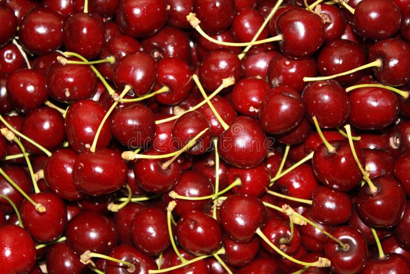 Kersen stock afbeelding. Image of eten, kersen, gezondheid - 15412407