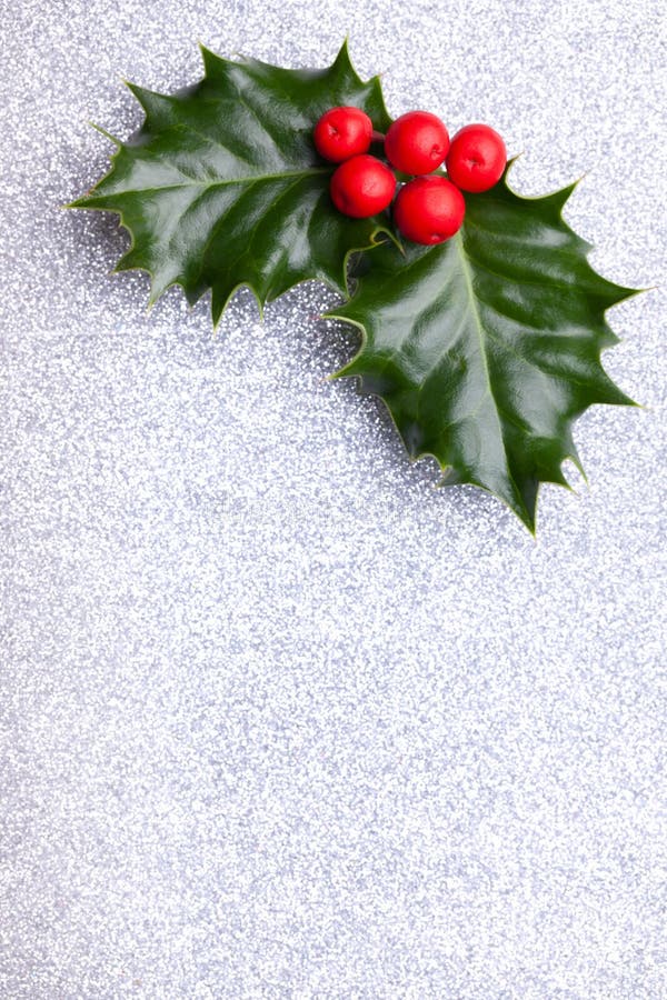 De Bes van de hulst stock afbeelding. Image of besnoeiing - 6797397