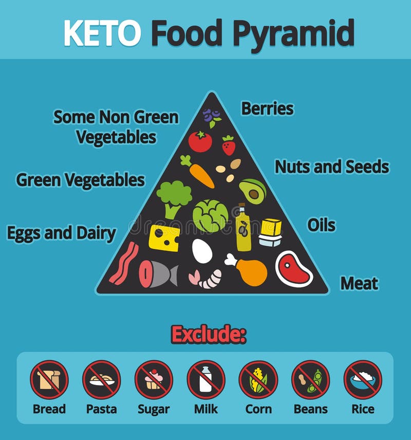 Keto-matpyramid vektor illustrationer. Illustration av äta - 57038839