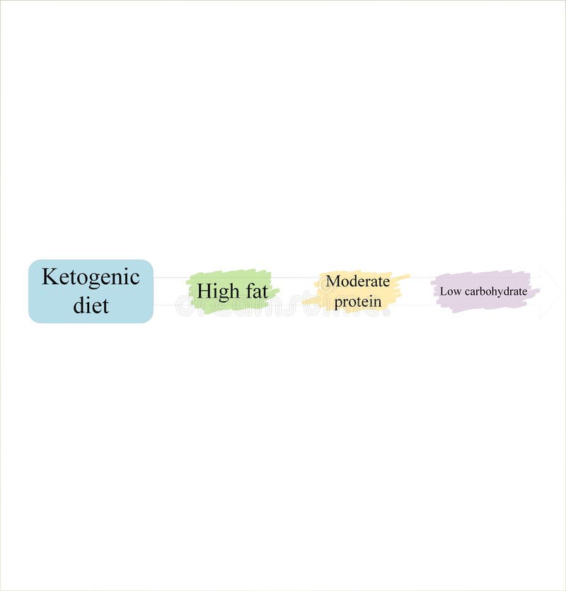 Ketogenic Diet is Rich in Fat and Low in Carbohydrate Stock ...