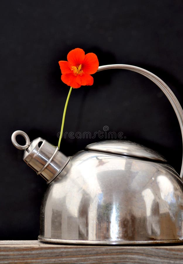 Kettle and flower stock photo. Image of vegetarian, beverage - 91774294