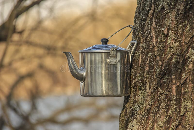 Kettle for tea camping stock photo. Image of rasp, adult - 60027800