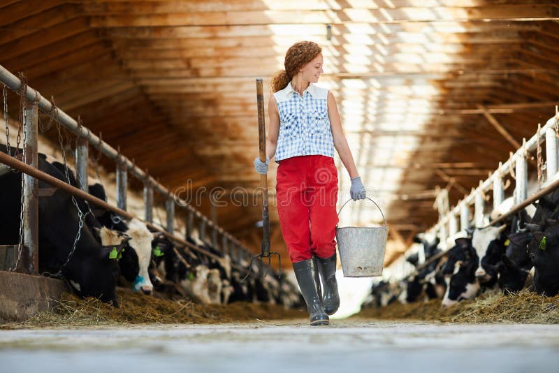 Kettlefarm worker stock image. Image of farming, kettlefarm - 124158133