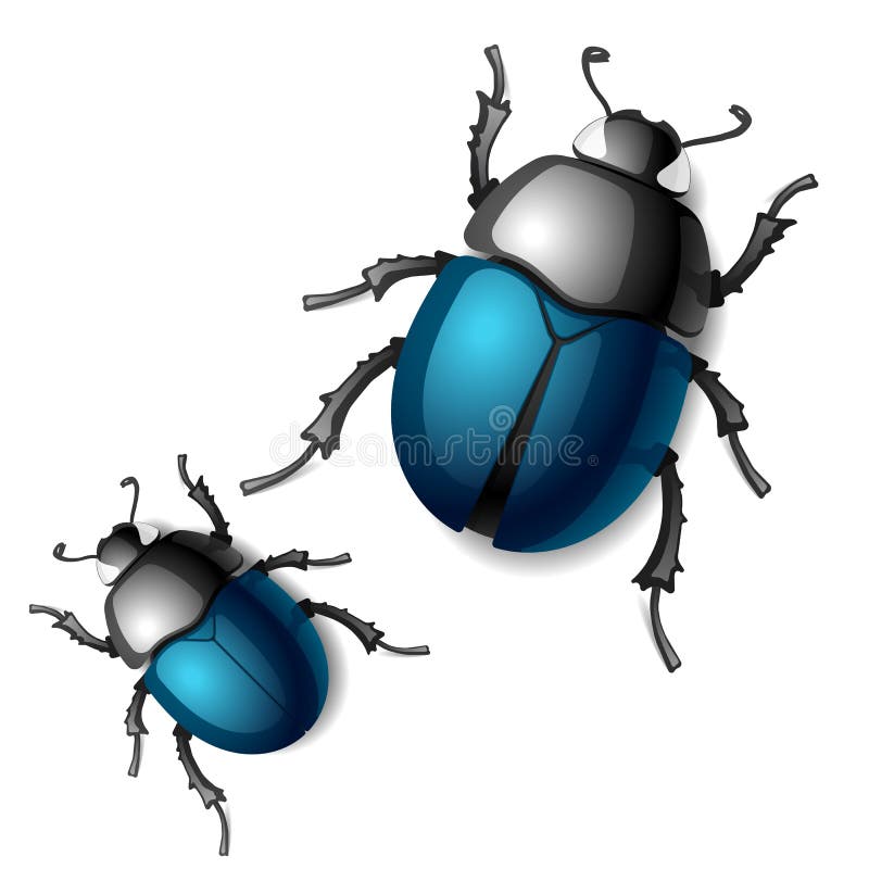 Kever vector illustratie. Illustration of mest, insect - 20964019