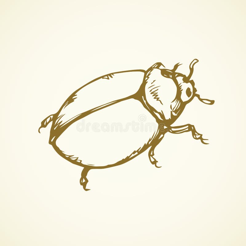 Kever Vector tekening vector illustratie. Illustration of illustratie ...