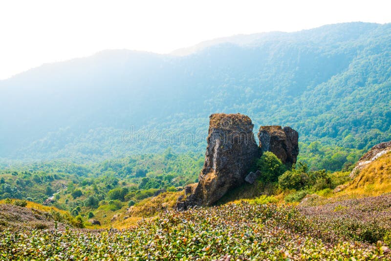 Kew Mae Pan View in Doi Inthanon Natural Park Stock Image - Image of ...