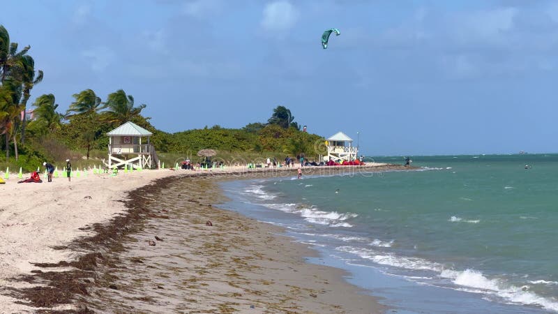 Key Biscayne Beach in Miami - MIAMI, USA - NOVEMBER 3, 2024 Stock Video ...