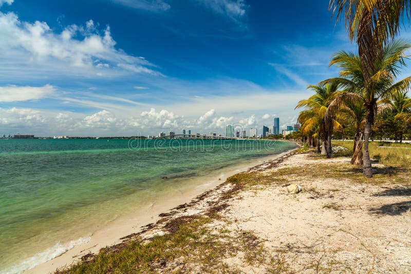 Key Biscayne Beach stock image. Image of beautiful, florida - 38644731