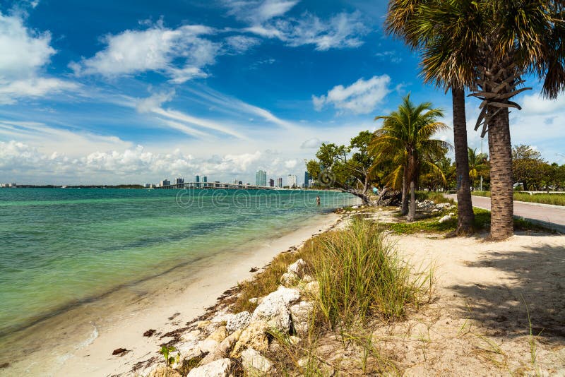 Key Biscayne Beach stock photo. Image of rickenbacker - 38644778