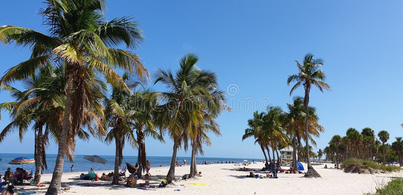 Key biscayne editorial stock photo. Image of sand, biscayne - 164134553
