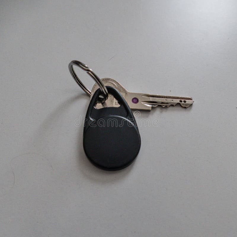Key from a Flat with a Chip Stock Photo - Image of housing, expensive ...