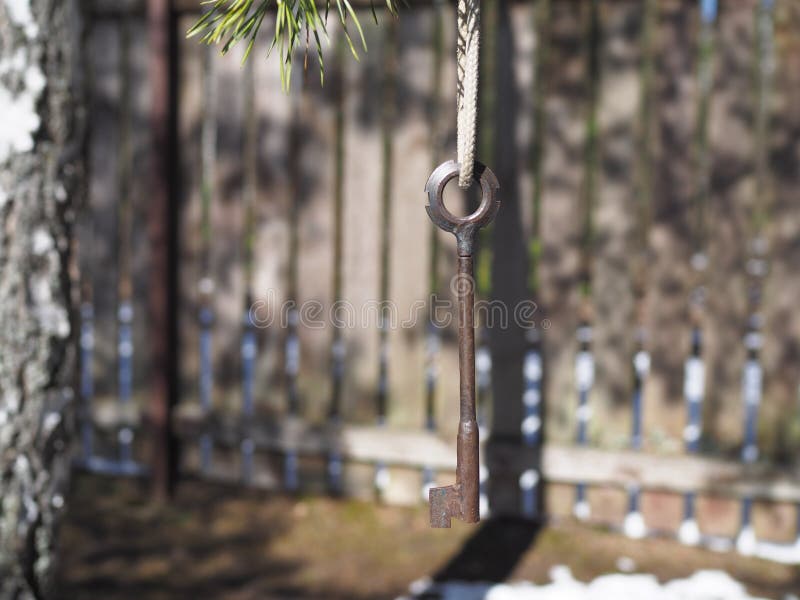 The Key in the Forest on a Tree Branch is a Universal Combination of ...